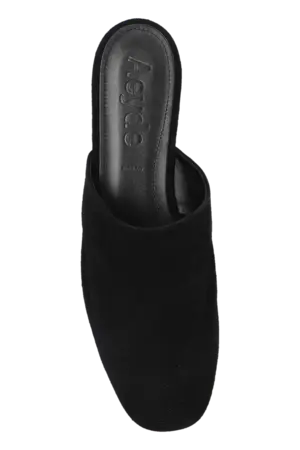 AeydĒ Rega’ Slides