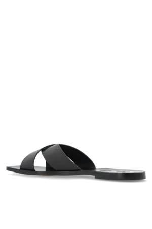 AeydĒ Faye' Slides