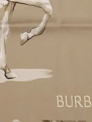 Burberry Neck Scarf
