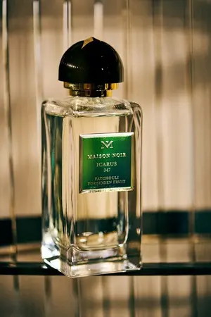 MAISON NOIR Icarus 347