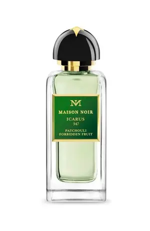 MAISON NOIR Icarus 347 - None