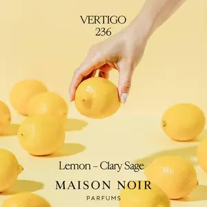 MAISON NOIR Vertigo 236 - None