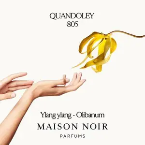 MAISON NOIR Quandoley 805 - None