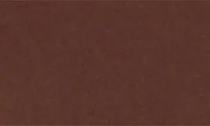 SKIMS Fits Everybody Thong - Cocoa
