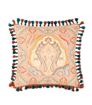Etro Decorative Pillow