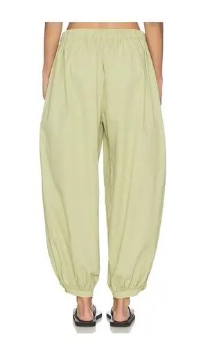 Lioness Wilderness Pant - Sage