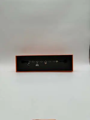 Hermès Bijou De Birkin N°1