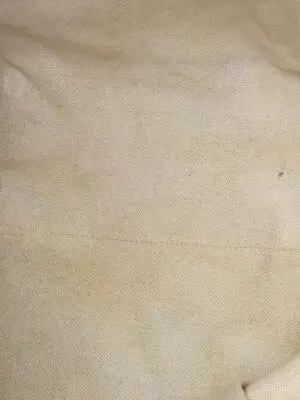 Gucci Gg Canvas Web Tote Bag