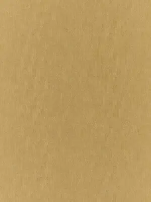 Burberry Scarf - Brown