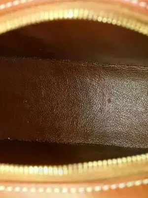 Celine Triomphe Oval Canvas And Leather Crossbody Bag - Brown