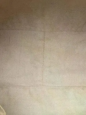 Gucci Gg Canvas Sukey Crossbody Bag