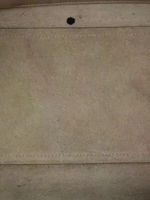 Celine 2017 Mini Grained Calfskin Belt Satchel - Neutrals