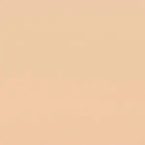 ANASTASIA BEVERLY HILLS Magic Touch Concealer - Neutral