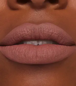 Estée Lauder Pure Colour Matte Lipstick