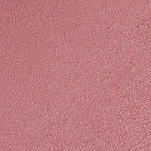 Estée Lauder Pure Colour Matte Lipstick