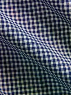 Polo Ralph Lauren Gingham-check Shirt - Blue