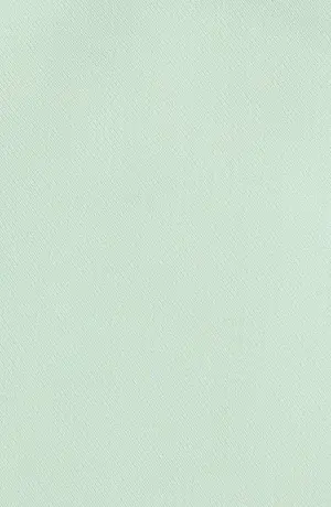ALIGNE Belted Jacket - Mint