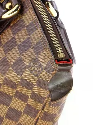 LOUIS VUITTON Saleya Pm Tote Bag - Brown