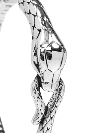 VIVIENNE WESTWOOD Single Snake Motif Earring