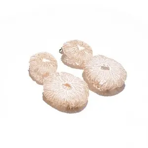 NANA WATANABE Embroidered Earrings - White