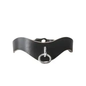 THEANIMALS S&m Leather Collar