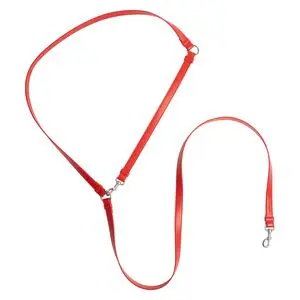 ALECOO Classy Adjustable Dog Leash - Red