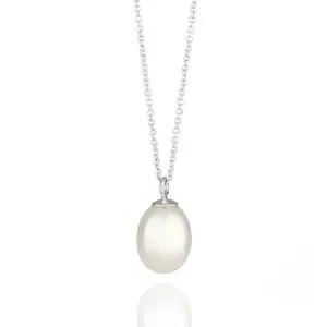 AUGUSTINE JEWELS Freshwater Pearl Sterling Silver Necklace - Silver/white