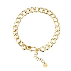 THEANIMALS El Diablo Necklace - Gold