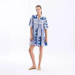 Haris Cotton Button-down Embroidered A-line Dress - Blue/white