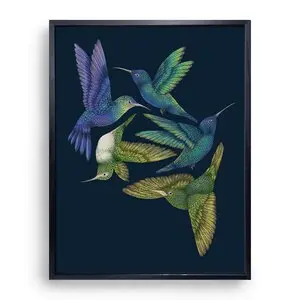 EMILY CARTER Antique Hummingbirds I Indigo Fine Art Print L - Blue