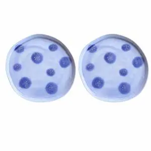 Lali Design Studio Aqua Dot Porcelain Dessert Plates Set Of Two With Gold Detail - Blue