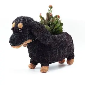 Likhâ Dachshund Animal Planter Natural Coco Coir Pot - Black