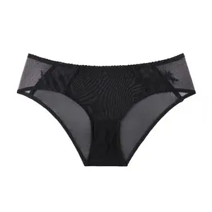 AMOUR D'AGNETTE Kim Stretch Lace & Mesh Hipster Brief - Black