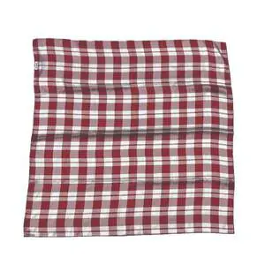 FORMULA S7 White Plaid Silk Scarf