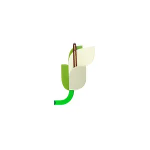 GISSA BICALHO Anthurium Brooch - Yellow