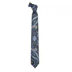 DAVID WEJ Paisley Printed Neck Tie - Blue/grey