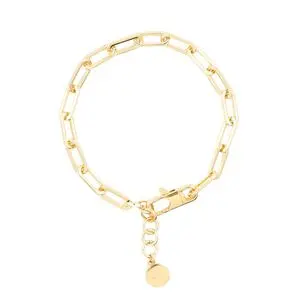 THEANIMALS Francie Link Necklace - Gold