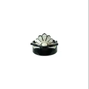 Gissa Bicalho Shell Bracelets