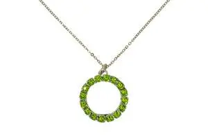VICKISARGE The Hoop Necklace In Platinum - Green