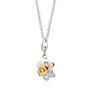 Lily Charmed Jewelry