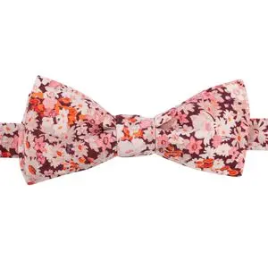 Le Colonel Printed Ties