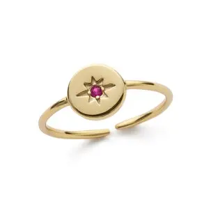 ELK & BLOOM Dainty Star Ring - Gold