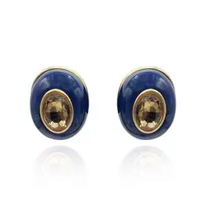 Michael Nash Jewelry Earrings