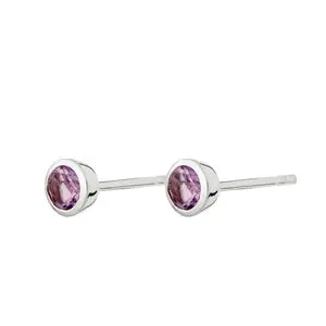 LILY CHARMED Silver Amethyst Stud Earrings - Silver/purple