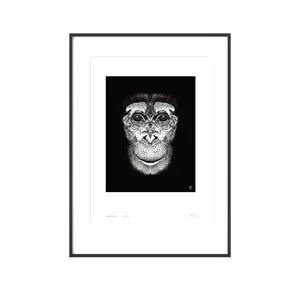 Curiosity Snug Curious Creatures Series Chimp Champ Print