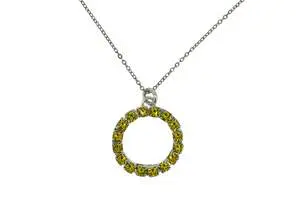 VICKISARGE The Hoop Platinum Necklace - Yellow