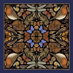 EMILY CARTER Blue / Brown The British Garden Wool Scarf Xl - Blue/brown