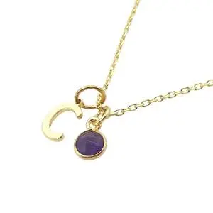 HARFI Mini Amethyst February Birthstone And Initial Necklace - Gold/yellow
