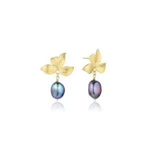 Set & Stones Silver Earrings