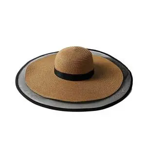 CHANEL JOAN ELKAYAM Wide Brim Straw Hat With Transparent Brim - Black/brown